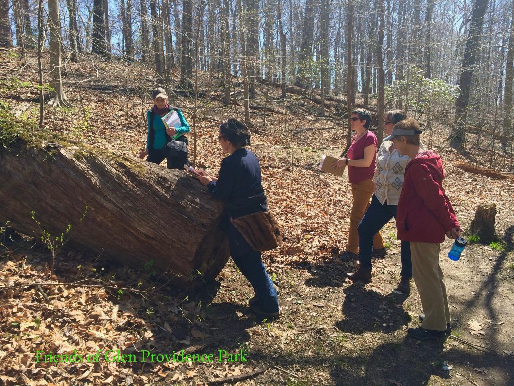 Native Plant Walk | Friends of Glen Providence Park